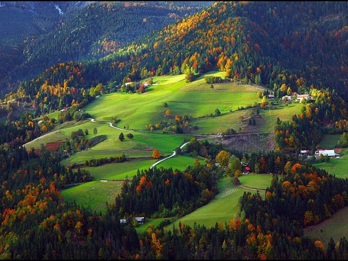 🔥 [50+] Free Wallpapers Autumn 800x600 | WallpaperSafari