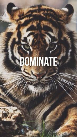 🔥 Free Download Best Dominance Wallpaper by @kcastillo92 | WallpaperSafari