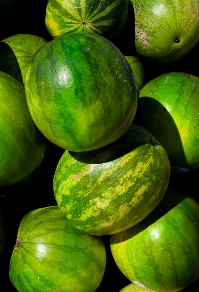 🔥 [40+] Green Things Wallpapers | WallpaperSafari