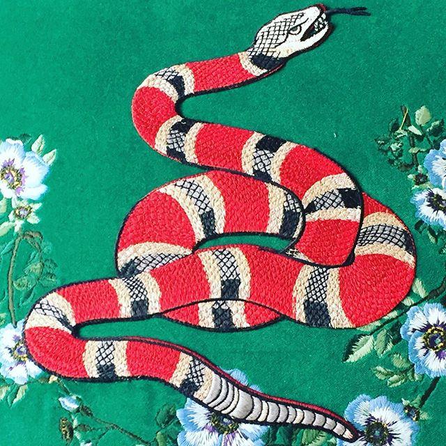 🔥 [90+] Gucci Snake Wallpapers | WallpaperSafari