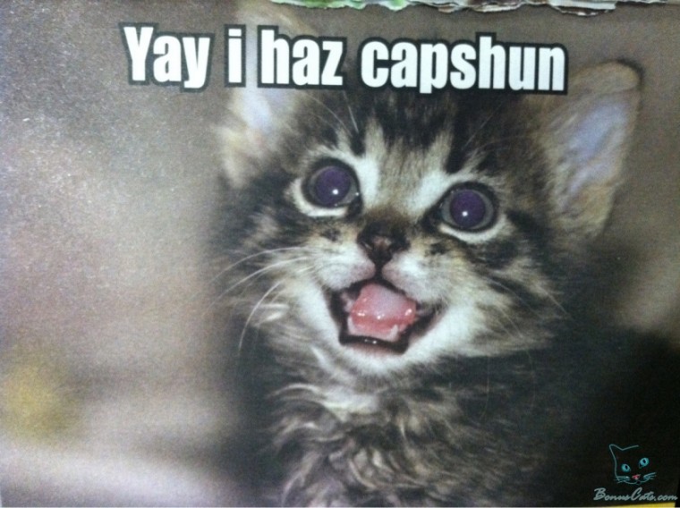 🔥 Free Download Happy Thanks Giving Wallpaper Lolcat Lolcats Lolcatz ...