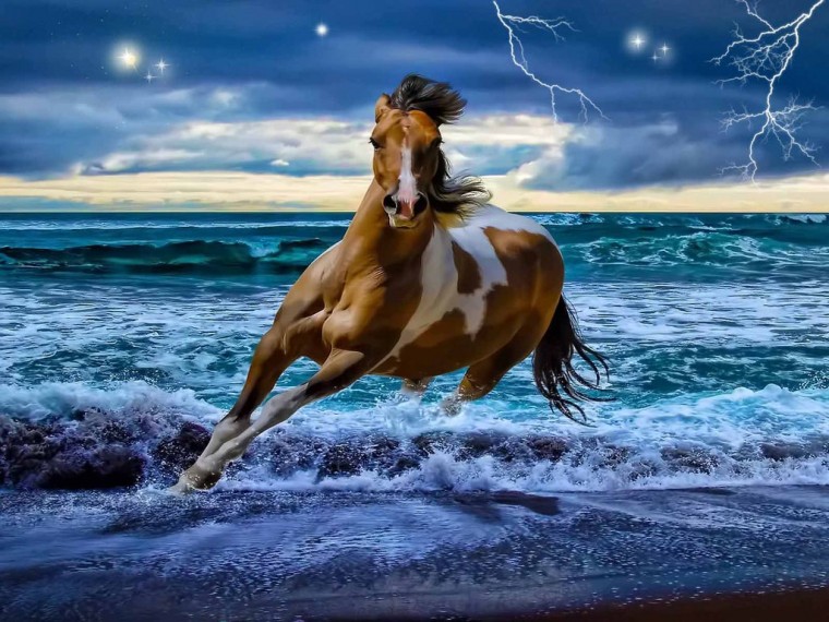 🔥 [150+] Free Horse Screensavers And Wallpapers | WallpaperSafari