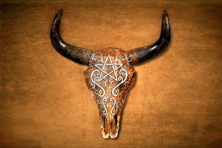 🔥 [50+] Bull Skull Wallpapers | WallpaperSafari