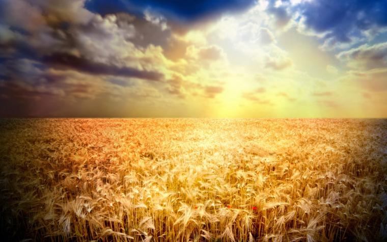 🔥 [40+] Kingdom of Heaven Wallpapers | WallpaperSafari