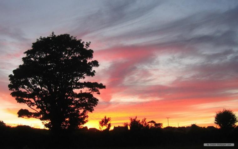 🔥 [50+] Nature Sunshine Free Wallpapers | WallpaperSafari