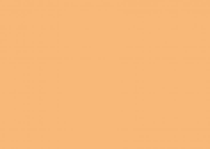 🔥 Free Download Light Apricot Solid Color Background by @bethn ...