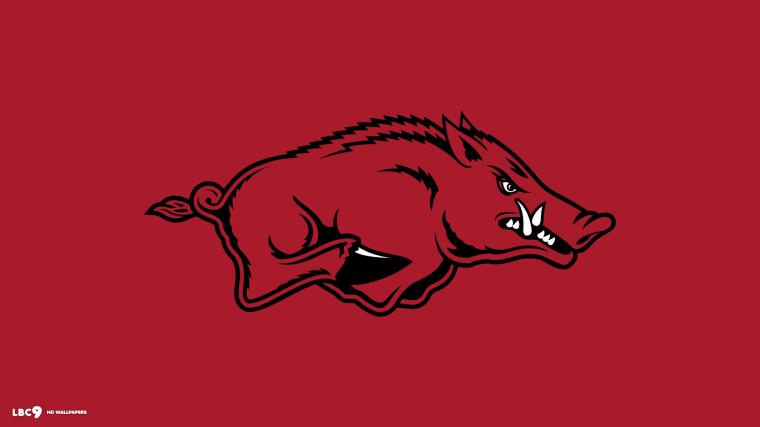 🔥 [50+] Razorback Wallpapers for Computer Screen | WallpaperSafari