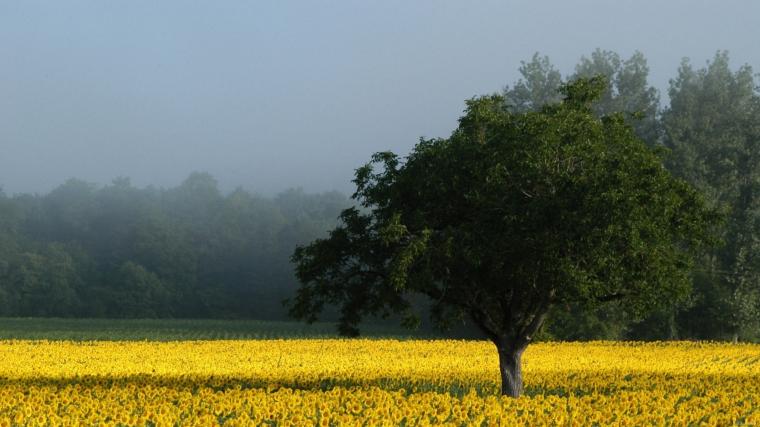 🔥 [40+] High Definition HD Photography Wallpapers | WallpaperSafari