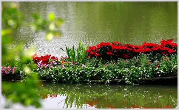 🔥 [50+] Spring Wallpapers High-Res | WallpaperSafari