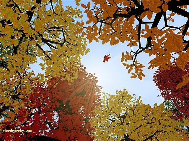 Free download Visual Paradox 3D Wallpaper Autumn Sun multiple wallpaper ...