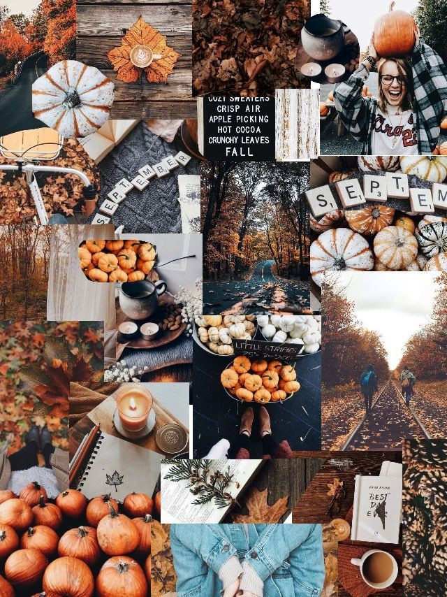 🔥 [40+] Thanksgiving Collage Wallpapers | WallpaperSafari