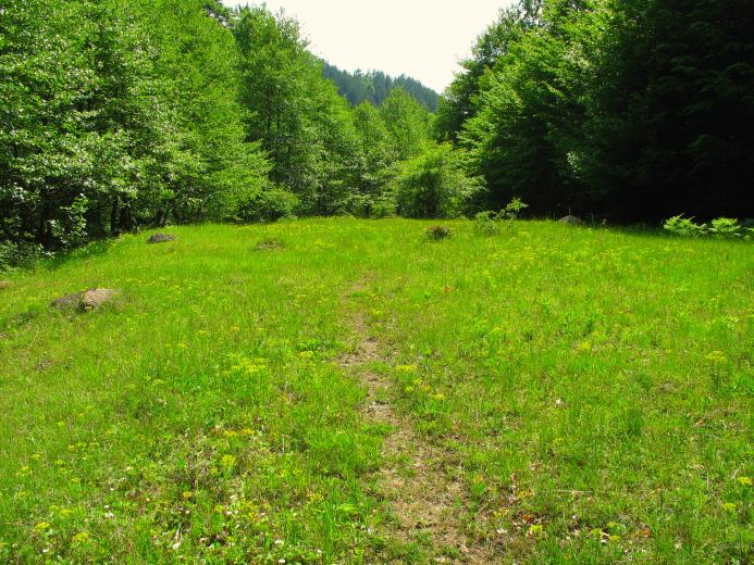 🔥 Free Download Sec Football Wallpaper The Art Mad by @ritaparker ...