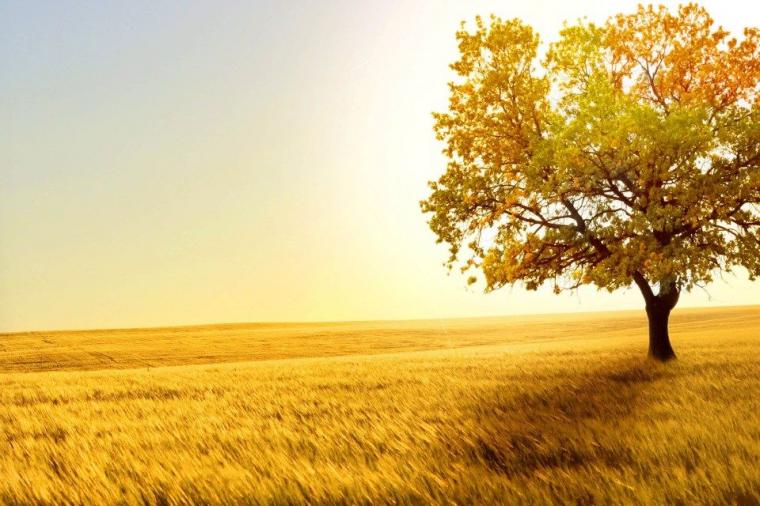 🔥 [80+] 5D Wallpapers | WallpaperSafari