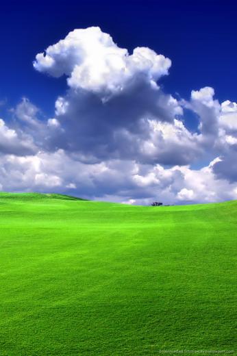 🔥 [50+] Bliss Wallpapers Download | WallpaperSafari