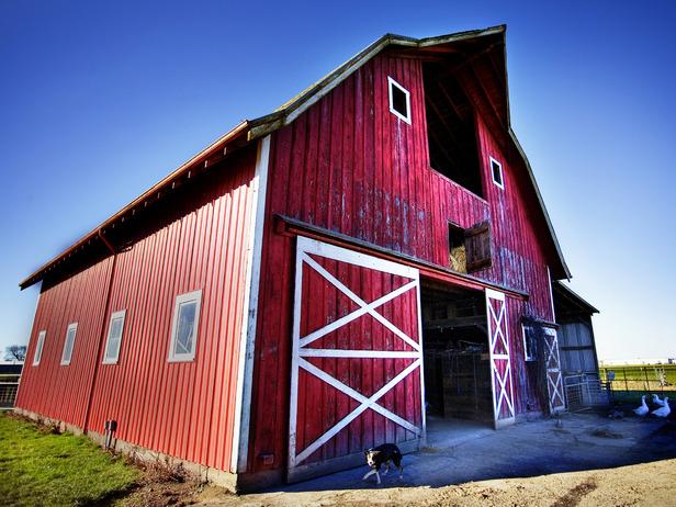Free download Red Wood Background Barn Wood Texture Barn Wood Wallpaper ...