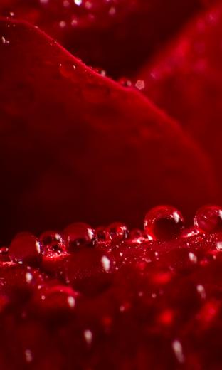 🔥 [50+] Wallpapers BB 10 | WallpaperSafari