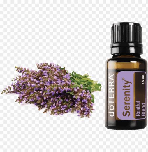 🔥 Free Download Doterra Essential Oils Lime 15ml Png Image With ...