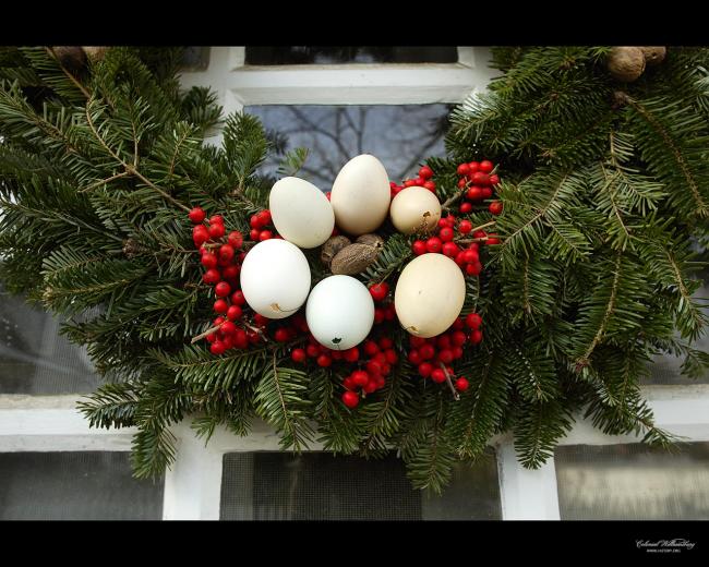 🔥 [50+] Colonial Pineapple Wallpapers | WallpaperSafari