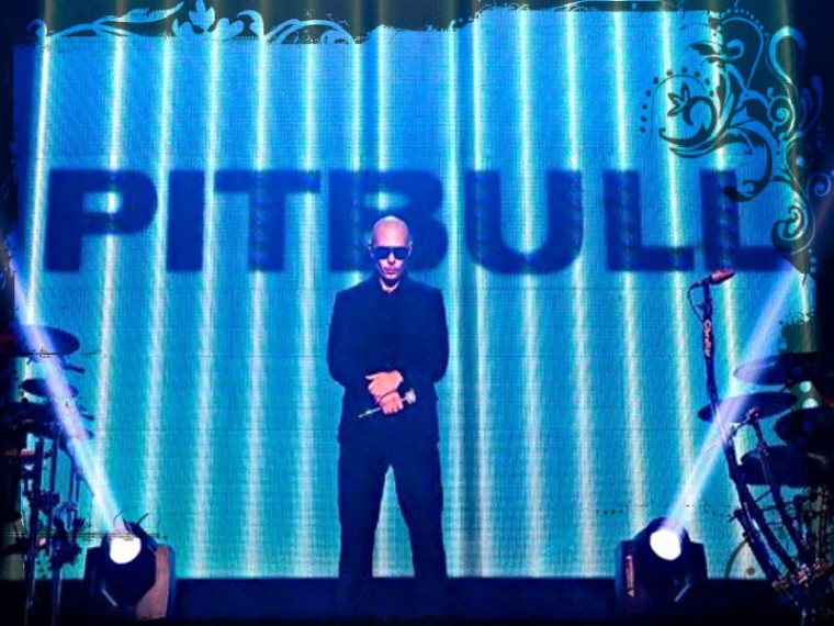 🔥 [70+] Pitbull Rapper Wallpapers | WallpaperSafari