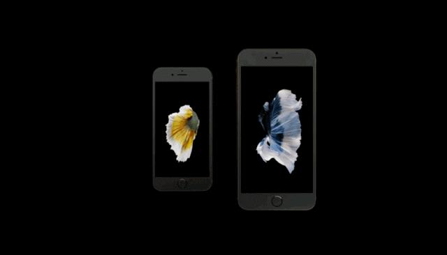 🔥 [50+] 3D Motion Wallpapers for iPhone | WallpaperSafari