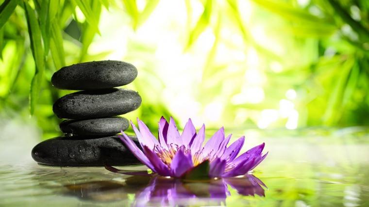 🔥 Free Download Mindfulness Bamboo Background by @elizabethc94 ...