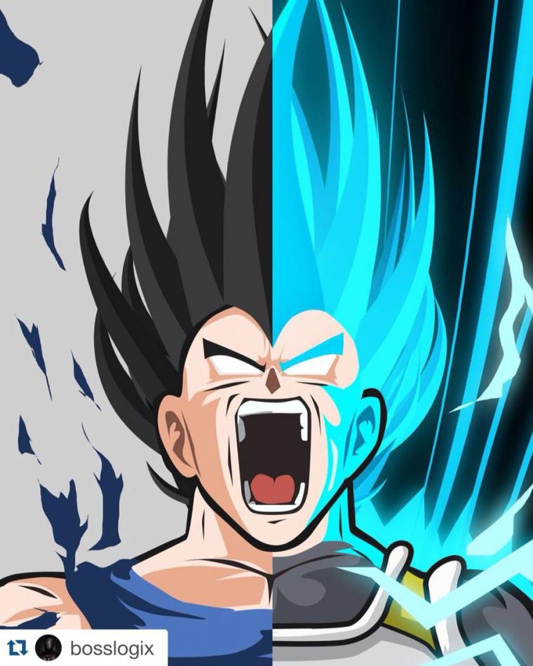 🔥 [80+] Ssgss Vegeta Wallpapers | WallpaperSafari