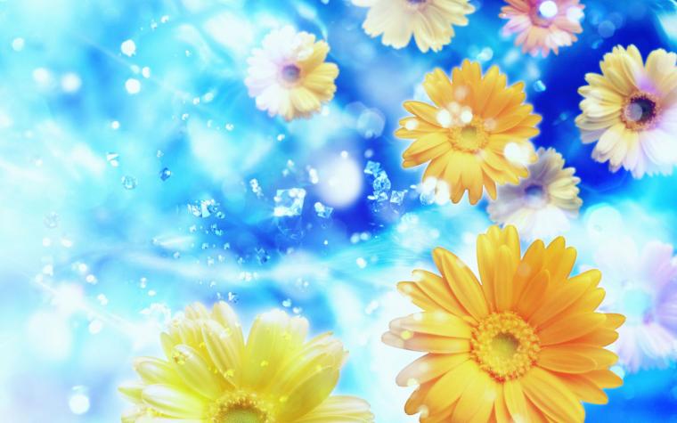 🔥 [40+] Windows Flower Wallpapers | WallpaperSafari