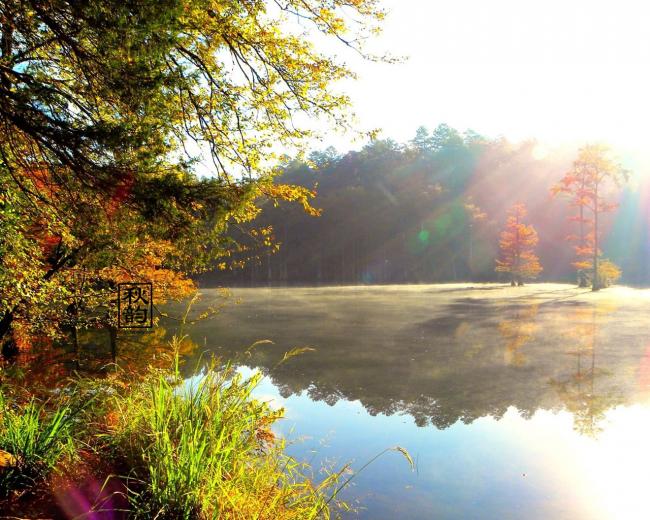 🔥 [50+] Windows XP Fall Wallpapers | WallpaperSafari