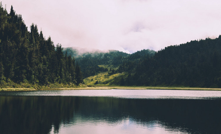🔥 [50+] Forest Lake Wallpapers | WallpaperSafari