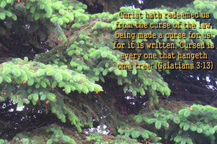 🔥 [150+] Free Scripture Spring Wallpapers | WallpaperSafari