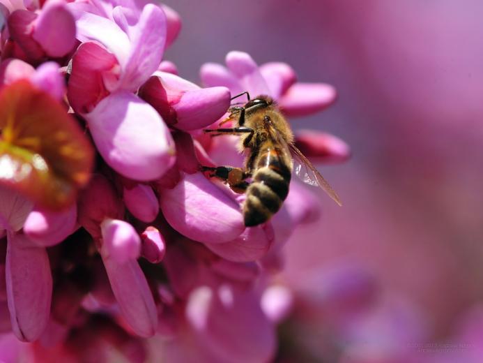 🔥 [90+] Spring Break Wallpapers | WallpaperSafari