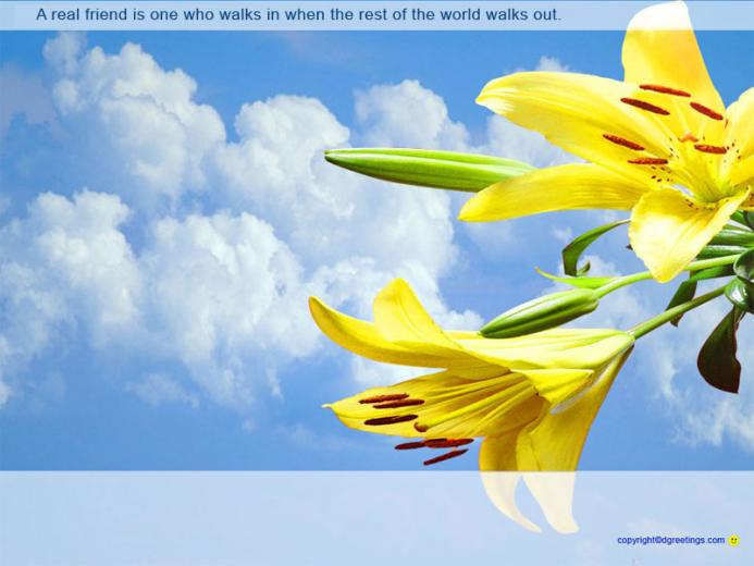 🔥 [50+] Dgreetings Wallpapers | WallpaperSafari