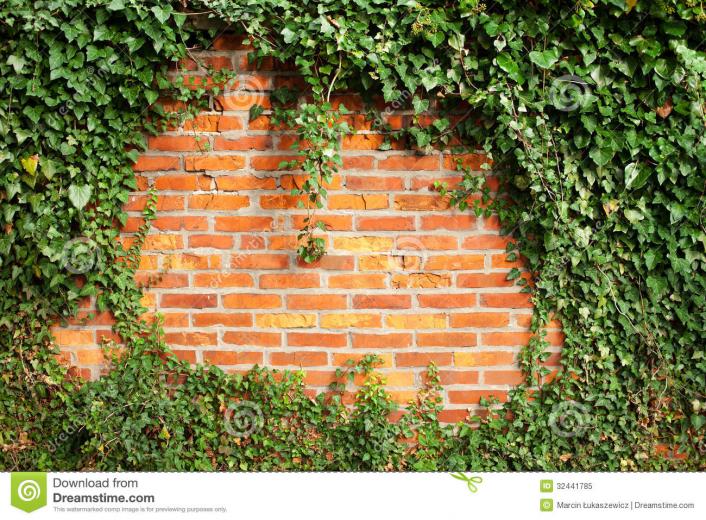 🔥 [50+] Brick and Ivy Wallpapers | WallpaperSafari