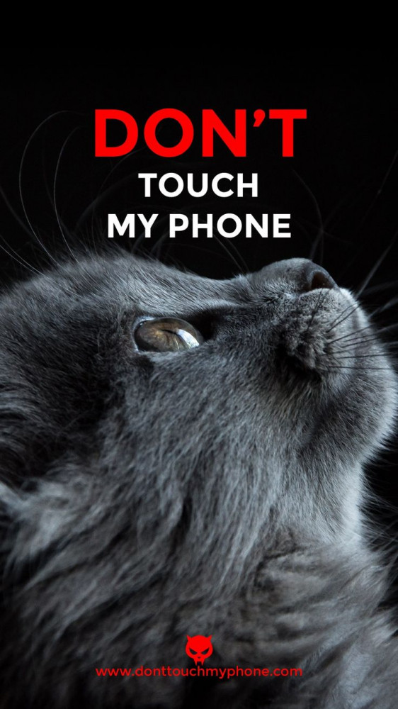 🔥 Free Download Don T Touch My Phone Cute Cat Wallpaper Dont by ...