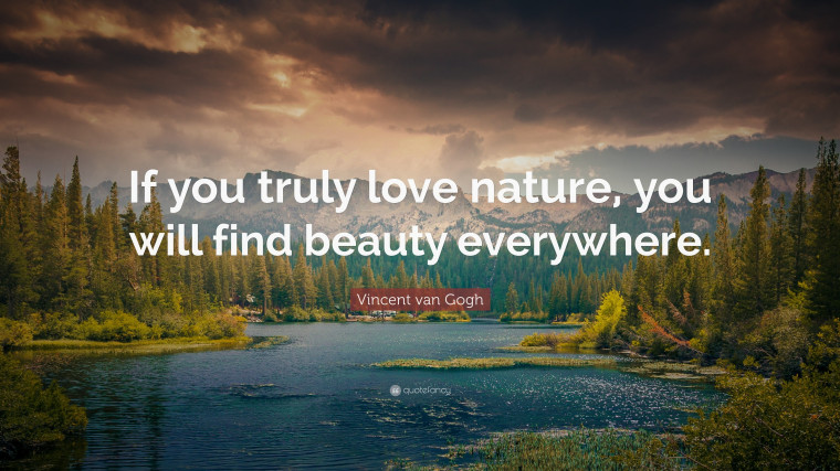 🔥 [30+] Nature Love Wallpapers | WallpaperSafari