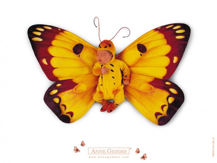 🔥 Free Download Derek Geddes Photography Christmas Anne Baby S Fall by ...