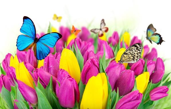 🔥 [30+] Spring Colorful Wallpapers | WallpaperSafari