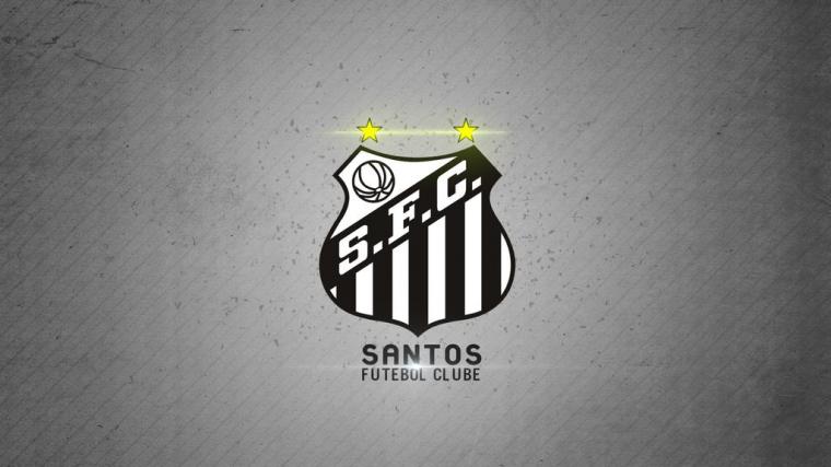 🔥 Free Download Mascote Do Santos Png Image With Transparent Background ...