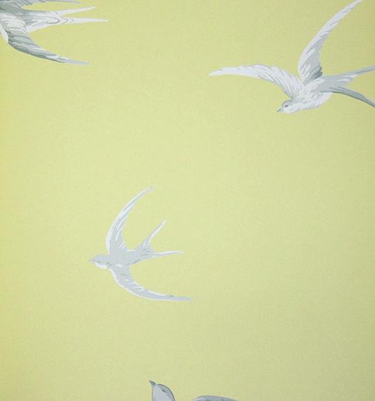 🔥 [100+] Swallow Wallpapers | WallpaperSafari