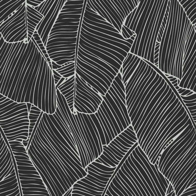 🔥 [50+] Outline Wallpapers | WallpaperSafari