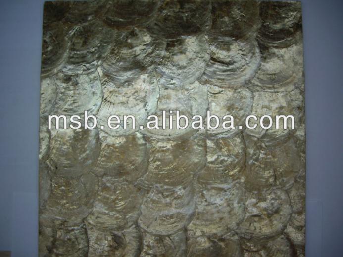 🔥 [50+] Capiz Shell Wallpapers | WallpaperSafari