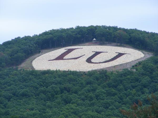 🔥 [90+] Liberty University Wallpapers | WallpaperSafari