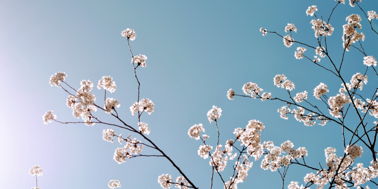 🔥 Free Download Spring Desktop Wallpaper Popsugar Tech by @jjohnson ...