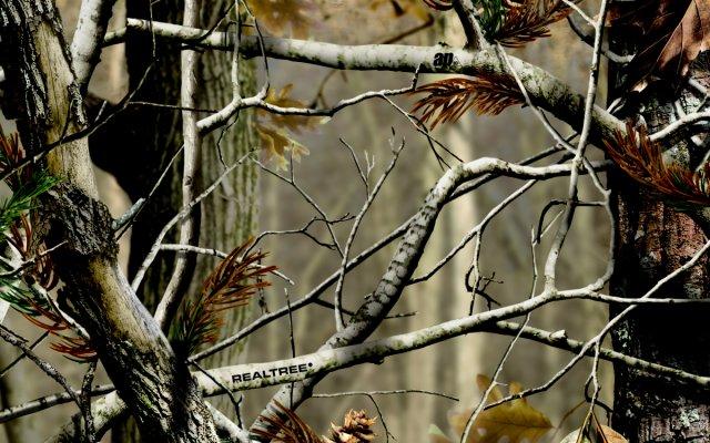 🔥 [50+] Fishouflage Wallpapers | WallpaperSafari