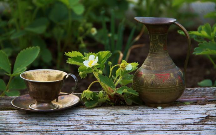 🔥 [50+] Beautiful Pitcher Wallpapers | WallpaperSafari