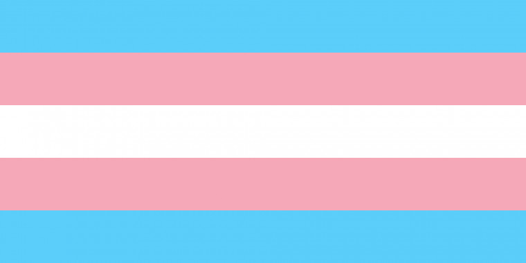 🔥 [50+] Trans Flag Wallpapers | WallpaperSafari
