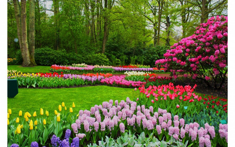 🔥 [20+] Spring 4k Wallpapers | WallpaperSafari