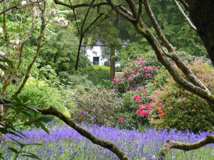 🔥 [50+] English Garden Wallpapers | WallpaperSafari