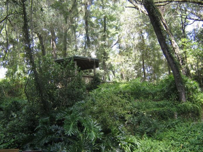 🔥 [50+] Florida Scenery Wallpapers | WallpaperSafari