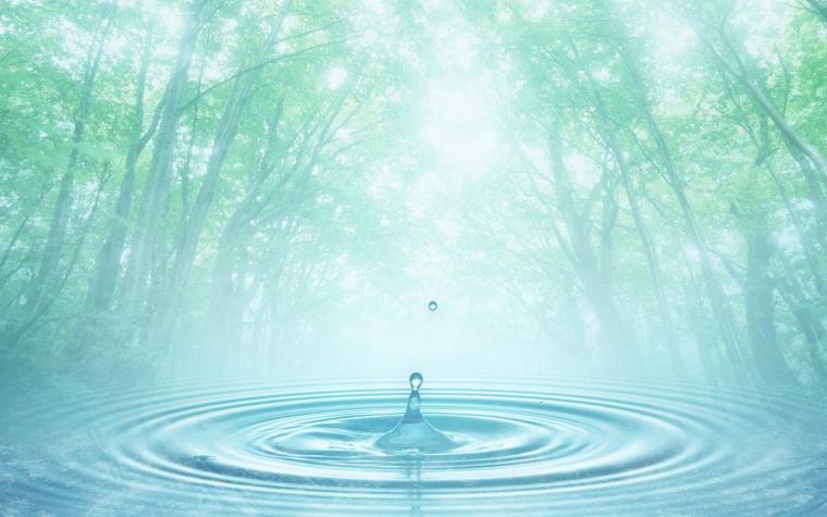 рџ ґ 40 Fabulous Nature Wallpapers Wallpapersafari